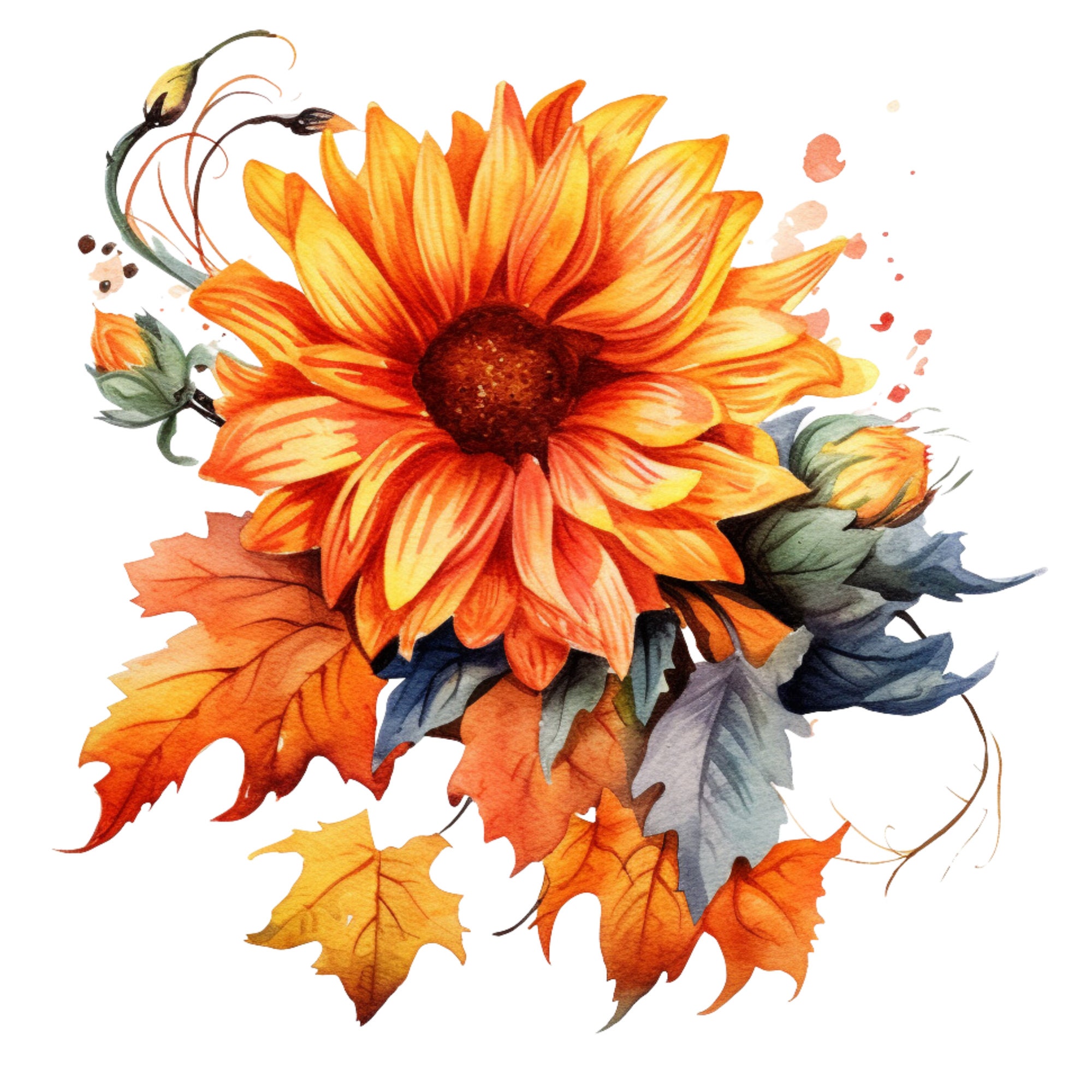 Autumn Floral Clipart Collection PNG Graphics Perfect for DIY - Etsy