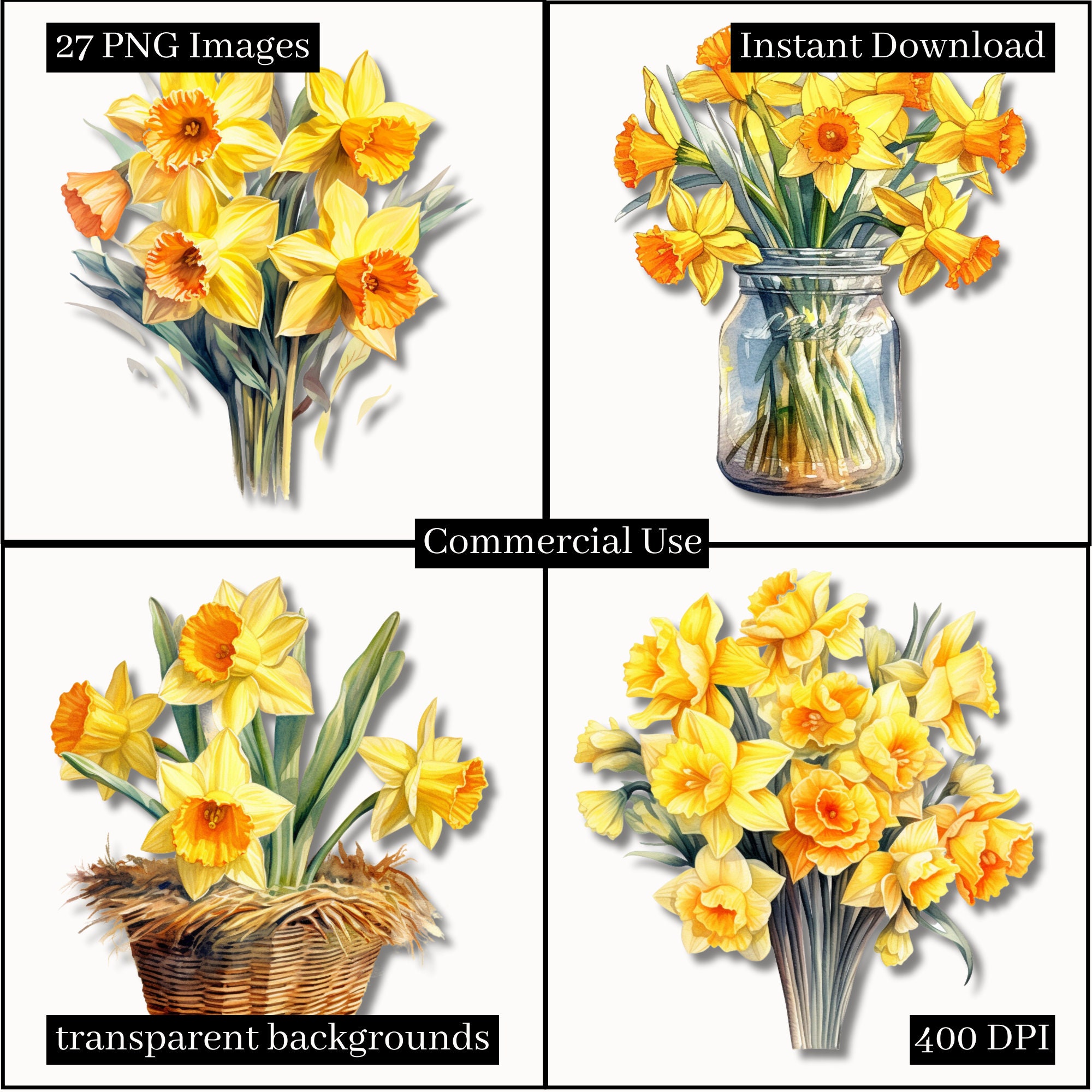 Yellow Daffodil Clipart Bundle High-quality PNG Files Instant - Etsy
