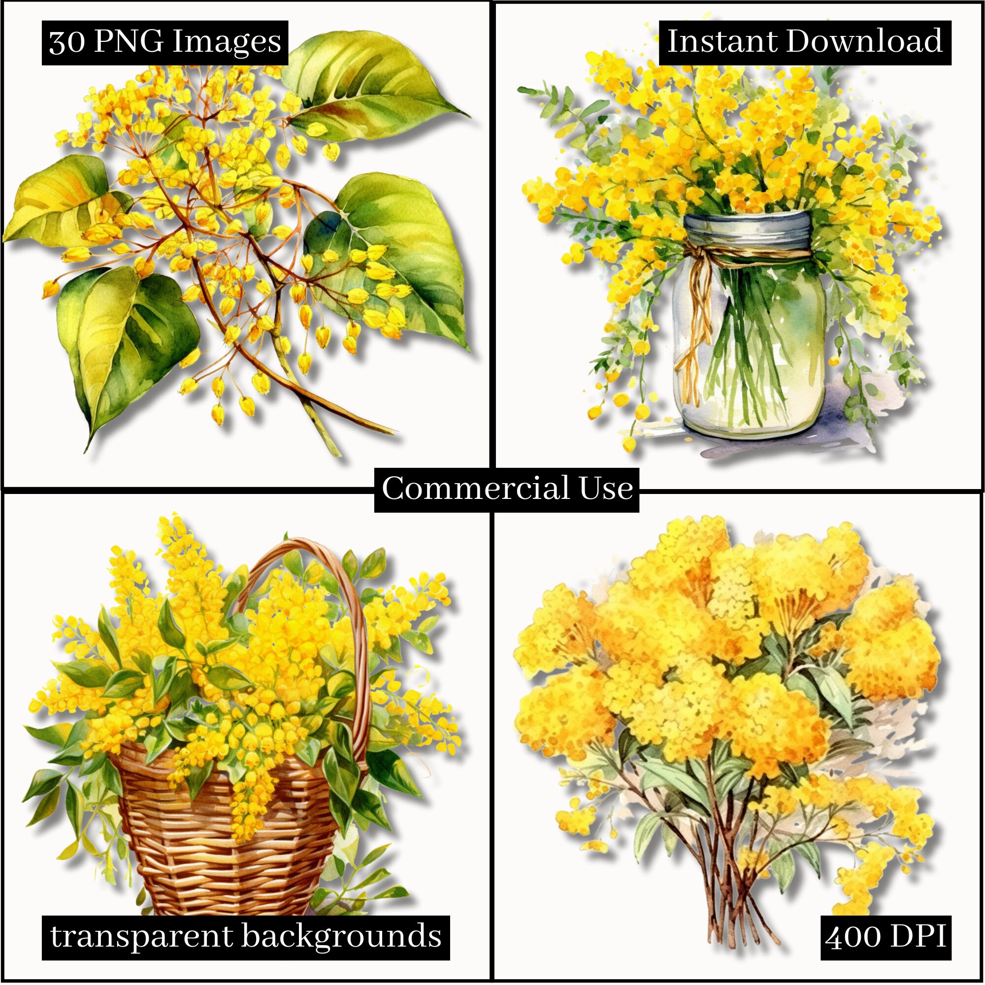 Yellow Elder Clipart Bundle High-quality PNG Files Instant - Etsy