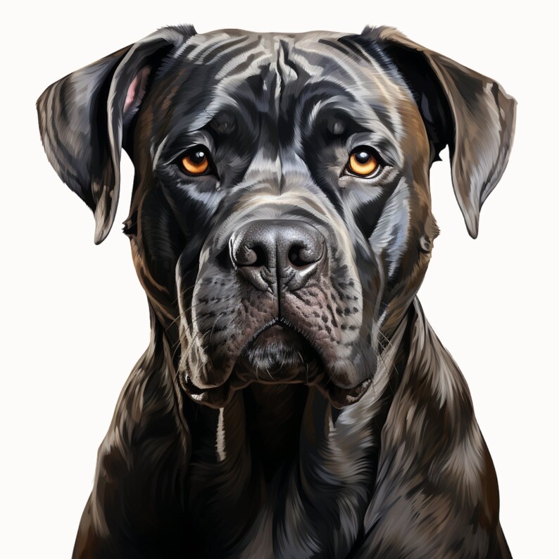 Cane Corso Clipart Bundle Dog Clipart for Personal and Commercial Use ...