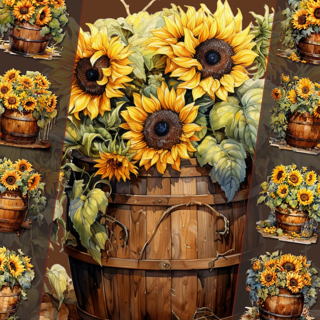 Barrel of Sunflowers Clipart Bundle - 400 DPI, Transparent Background, for Personal and ...