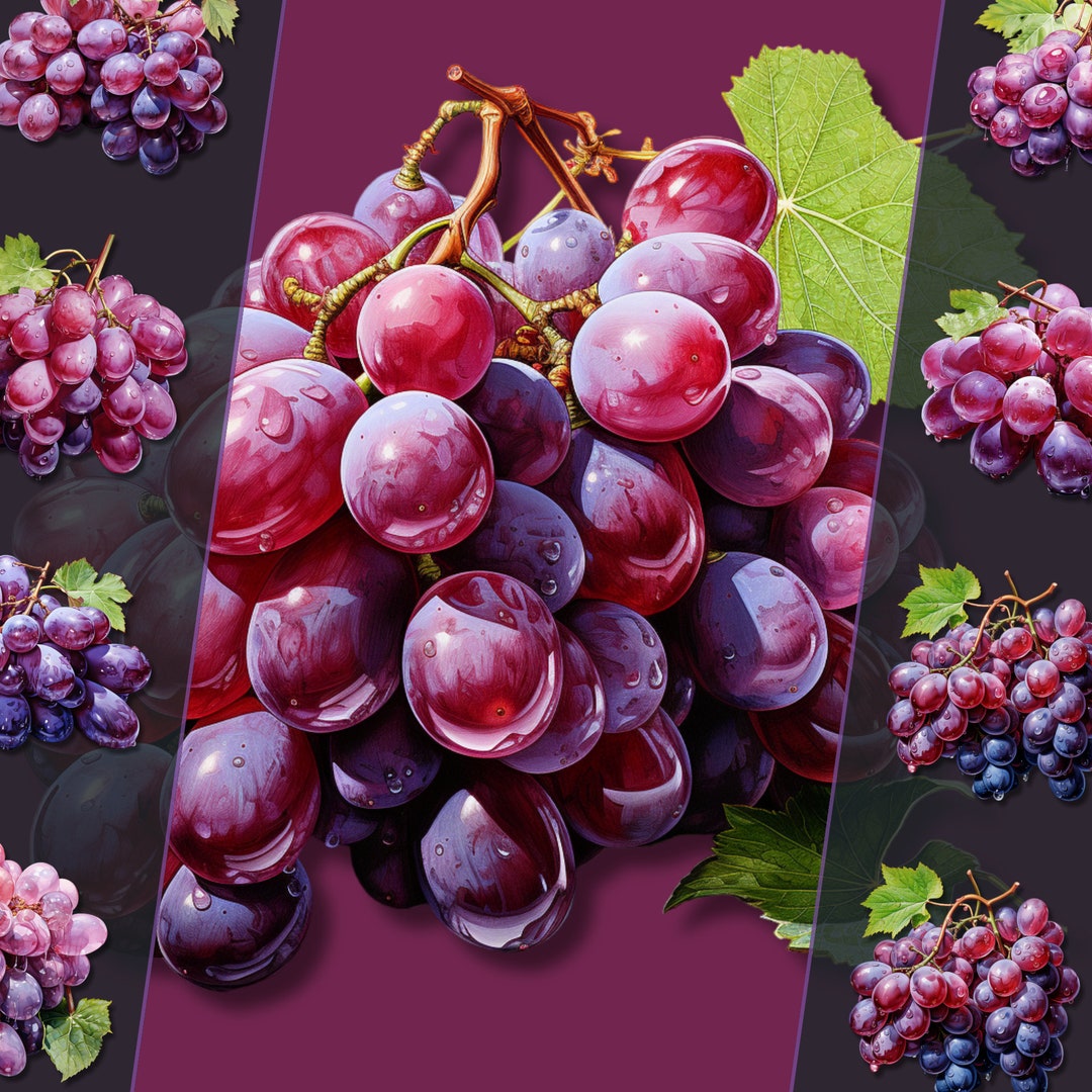 Grape Clipart Bundle, PNG, Ideal for Digital Art, Junk Journal and ...