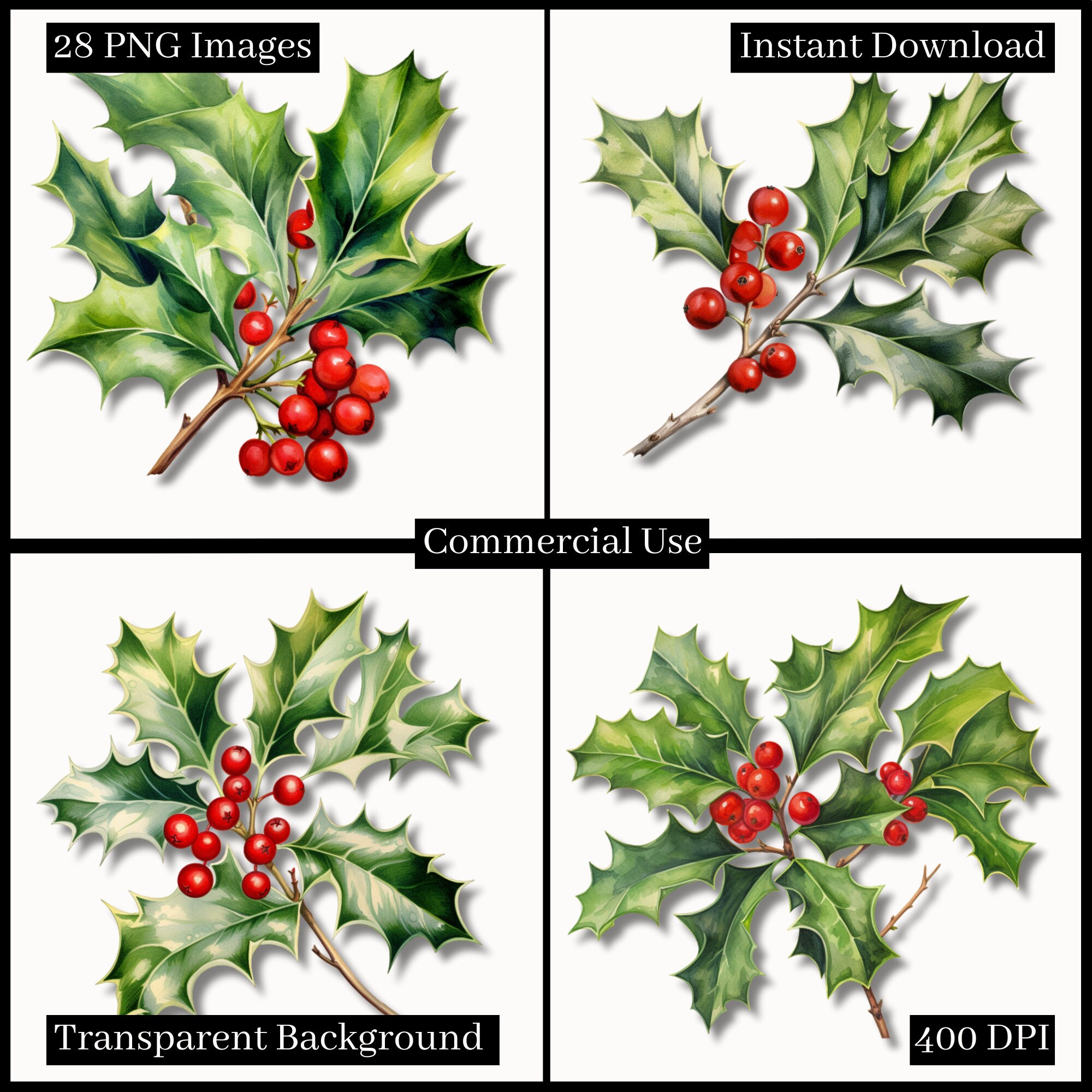 Christmas Holly Clipart Bundle PNG Perfect for Digital Art - Etsy