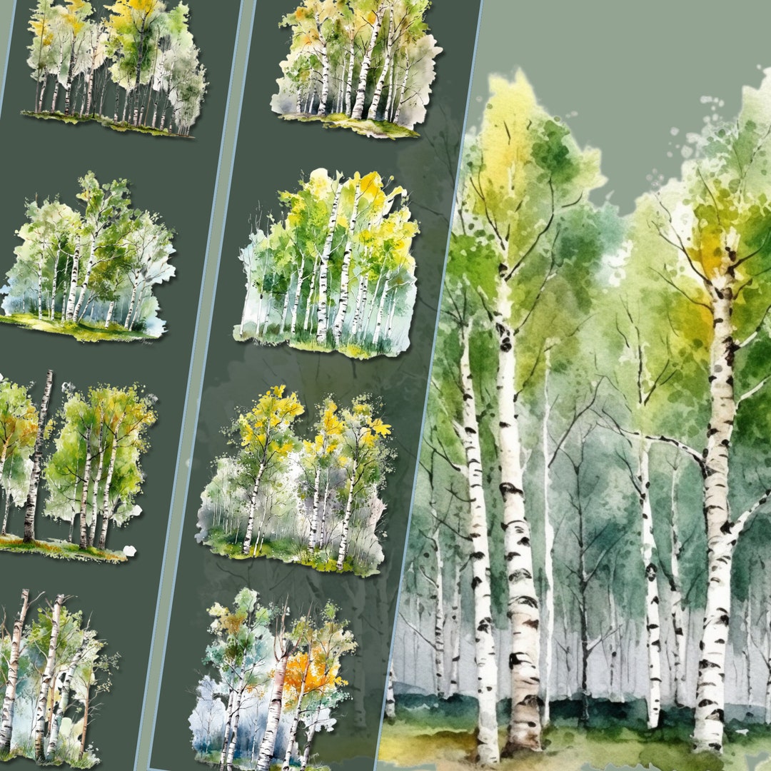 Spring Birch Tree Clipart Collection PNG Graphics, Perfect for DIY ...