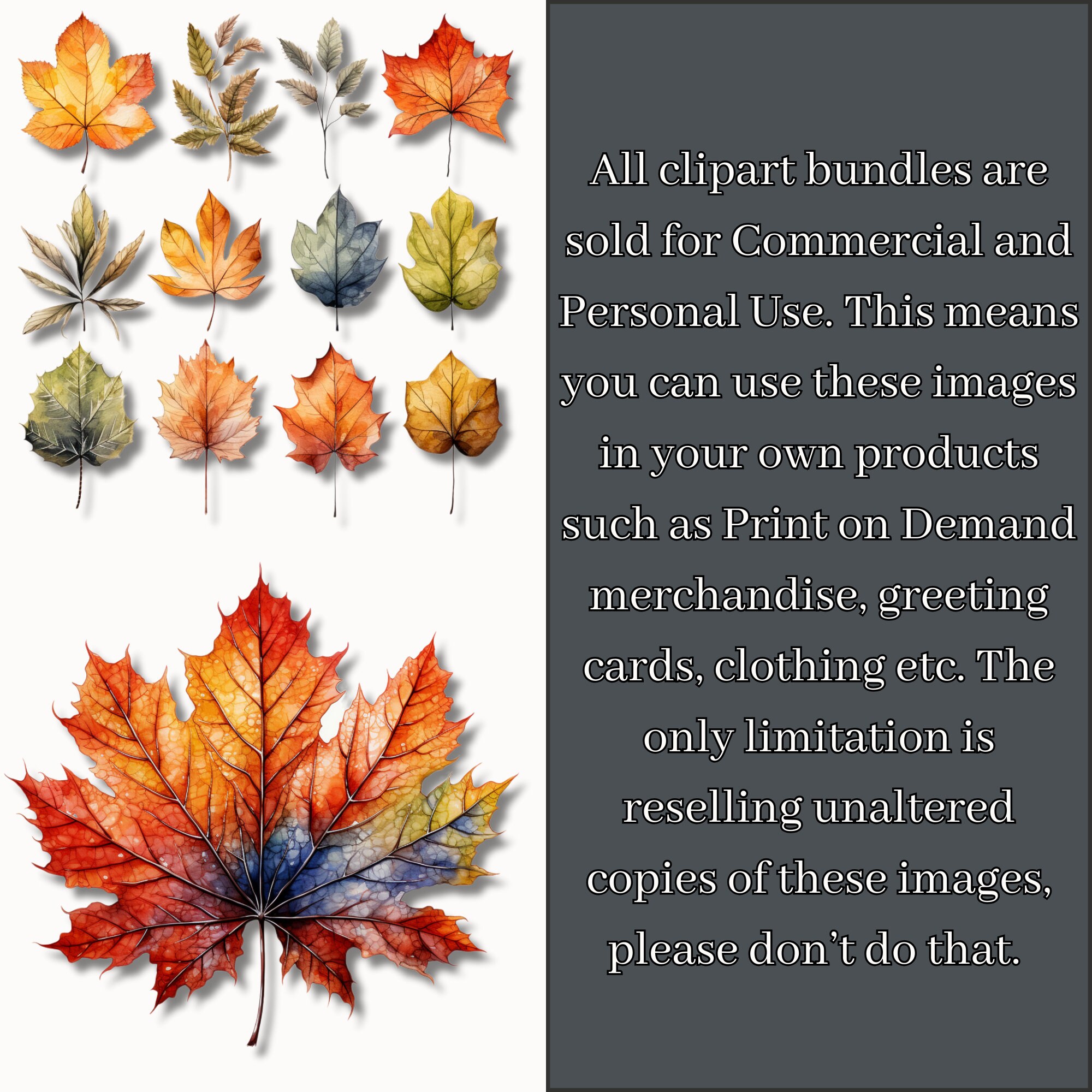 Autumn Leaves Clipart Bundle PNG Format for Personal & - Etsy