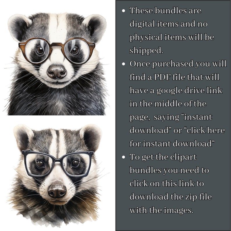 Smart Badger Clipart Bundle, PNG Format, Artistic Creations, Junk ...