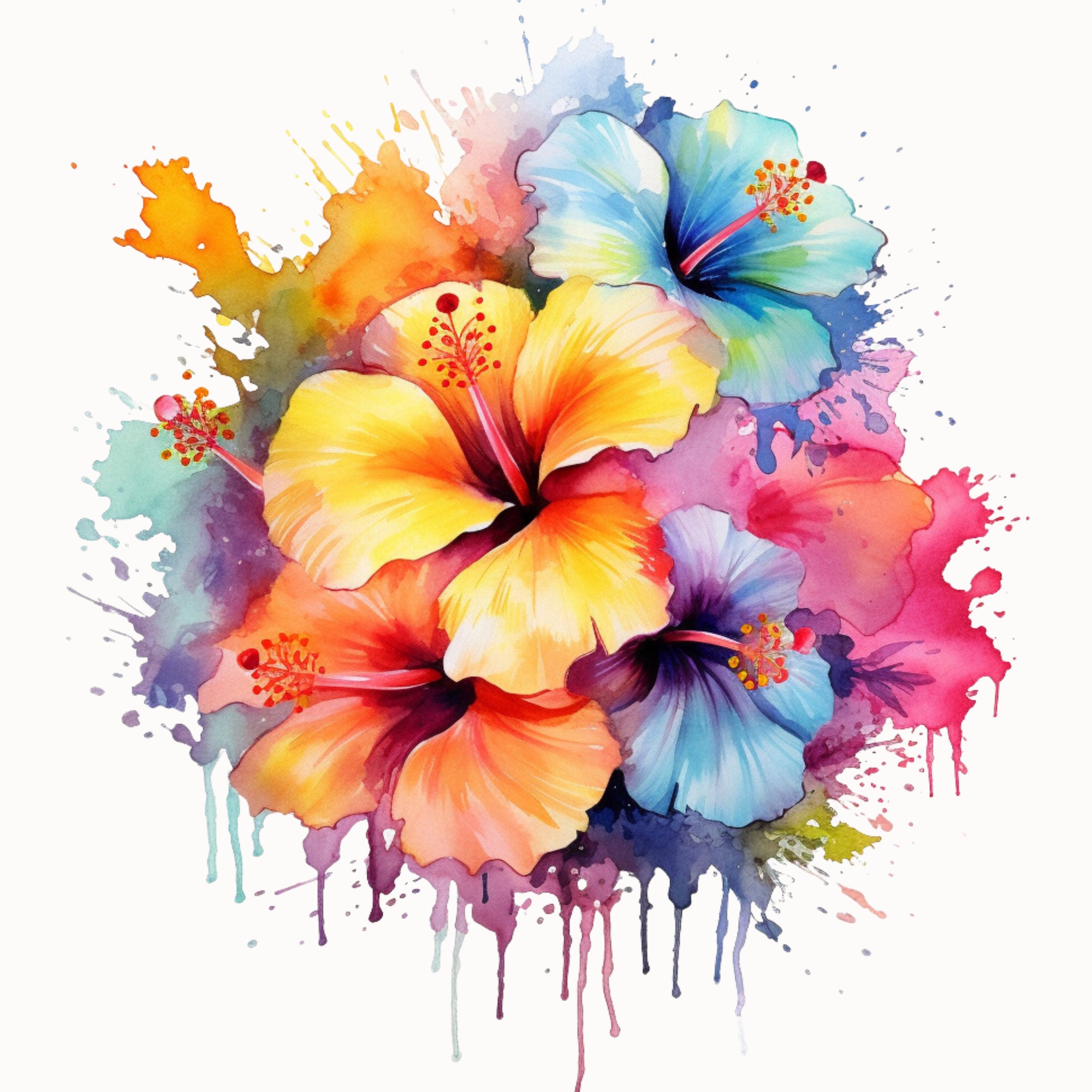 Hibiscus Clipart Bundle Tropical Flower Illustrations, High-resolution ...