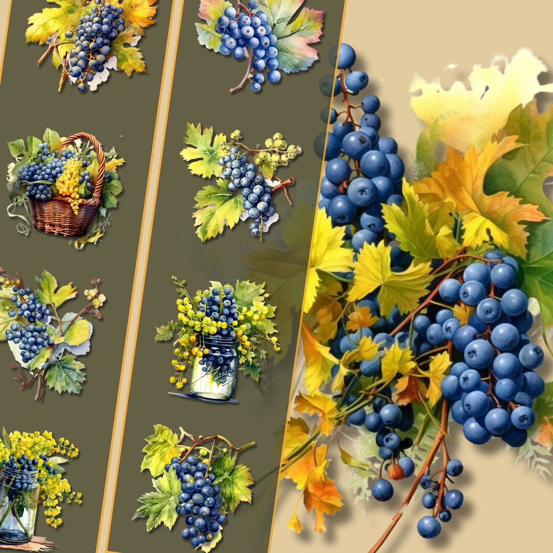 Oregon Grape Clipart Bundle - High-resolution PNG Files, Instant ...