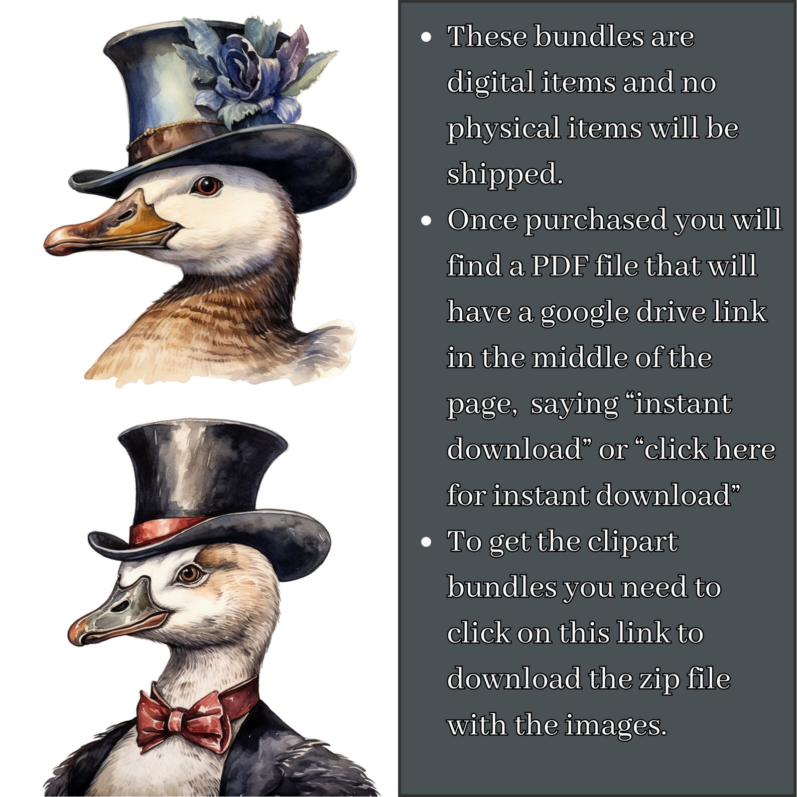 Goose Wearing a Top Hat Clipart Bundle PNG Format Junk - Etsy