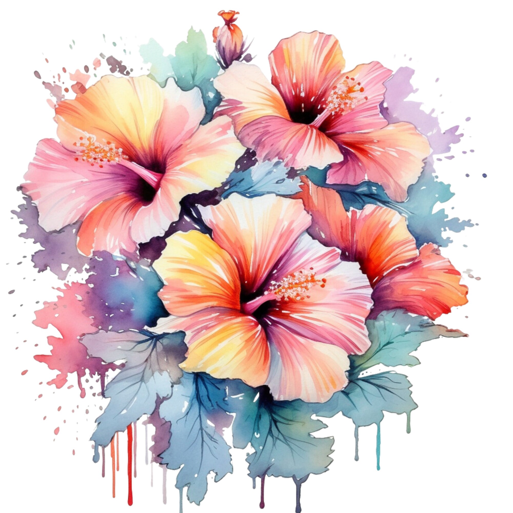 Hibiscus Clipart Bundle Tropical Flower Illustrations, High-resolution ...