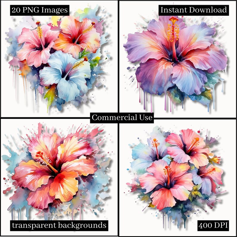 Hibiscus Clipart Bundle Tropical Flower Illustrations, High-resolution ...