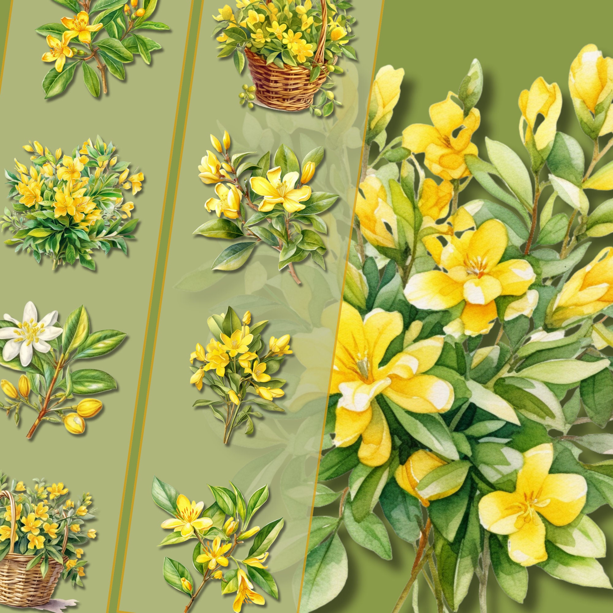 Yellow Jessamine Clipart Bundle High-quality PNG Files, Instant ...