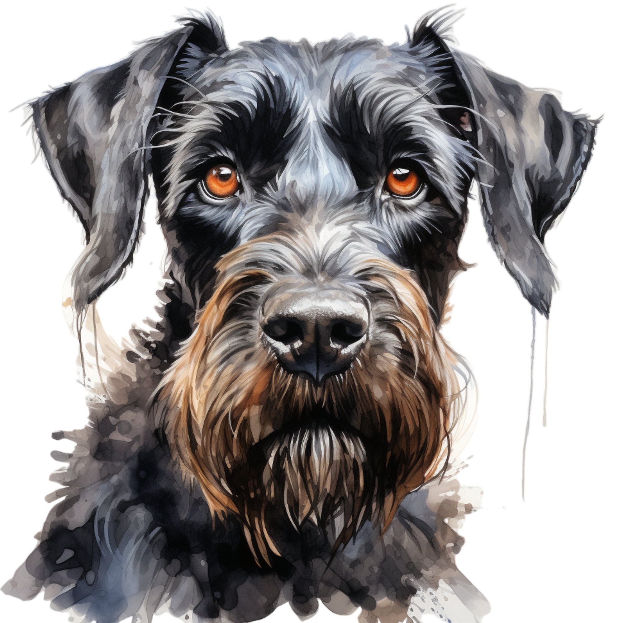 Giant Schnauzer Clipart Bundle Transparent Background for - Etsy