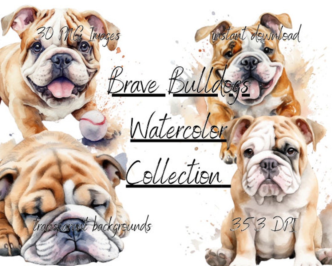 Brave Bulldogs Watercolor Collection Expressive Bulldog - Etsy
