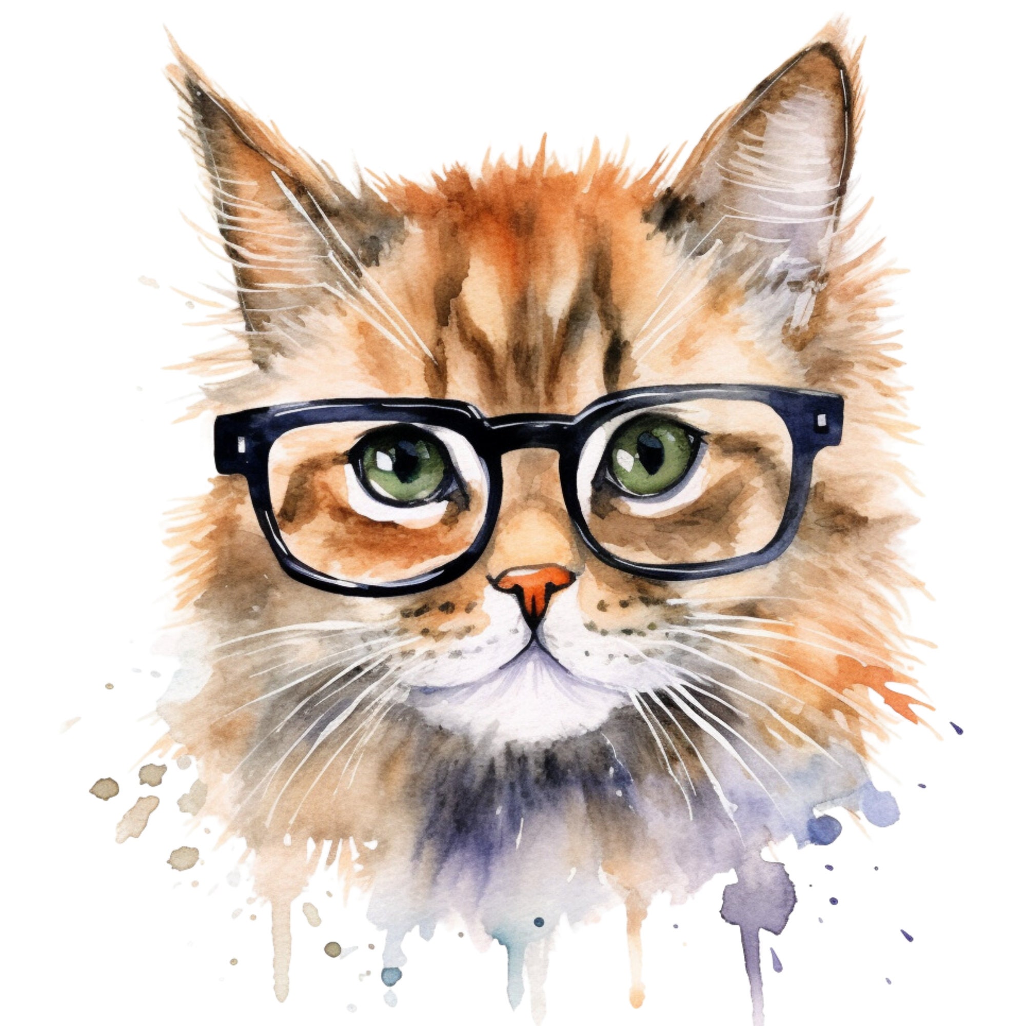 Cats Wearing Glasses Clipart Collection PNG Graphics, Transparent ...