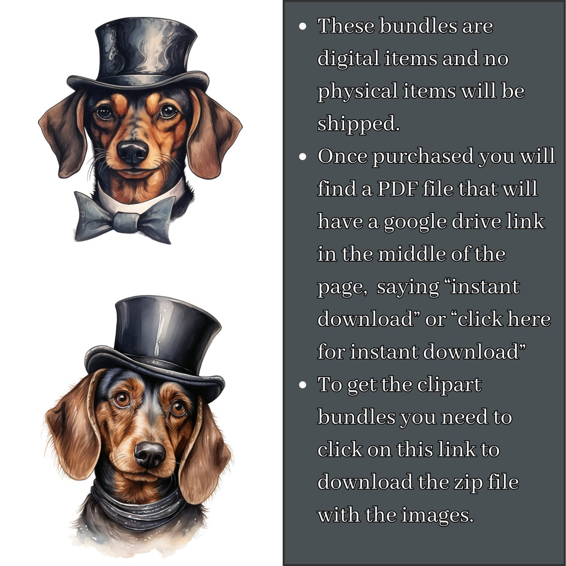 Dapper Dachshund Clipart Bundle PNG Format Artistic - Etsy