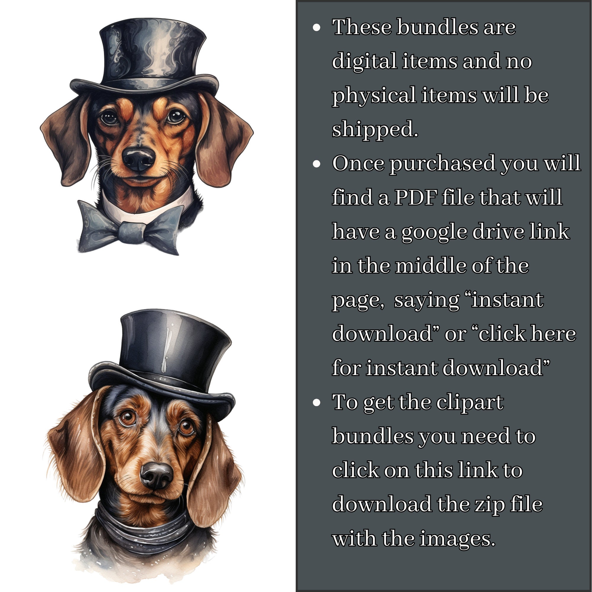 Dapper Dachshund Clipart Bundle PNG Format Artistic - Etsy