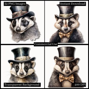 Dapper Badger Clipart Bundle, PNG Format, Artistic Creations, Junk ...