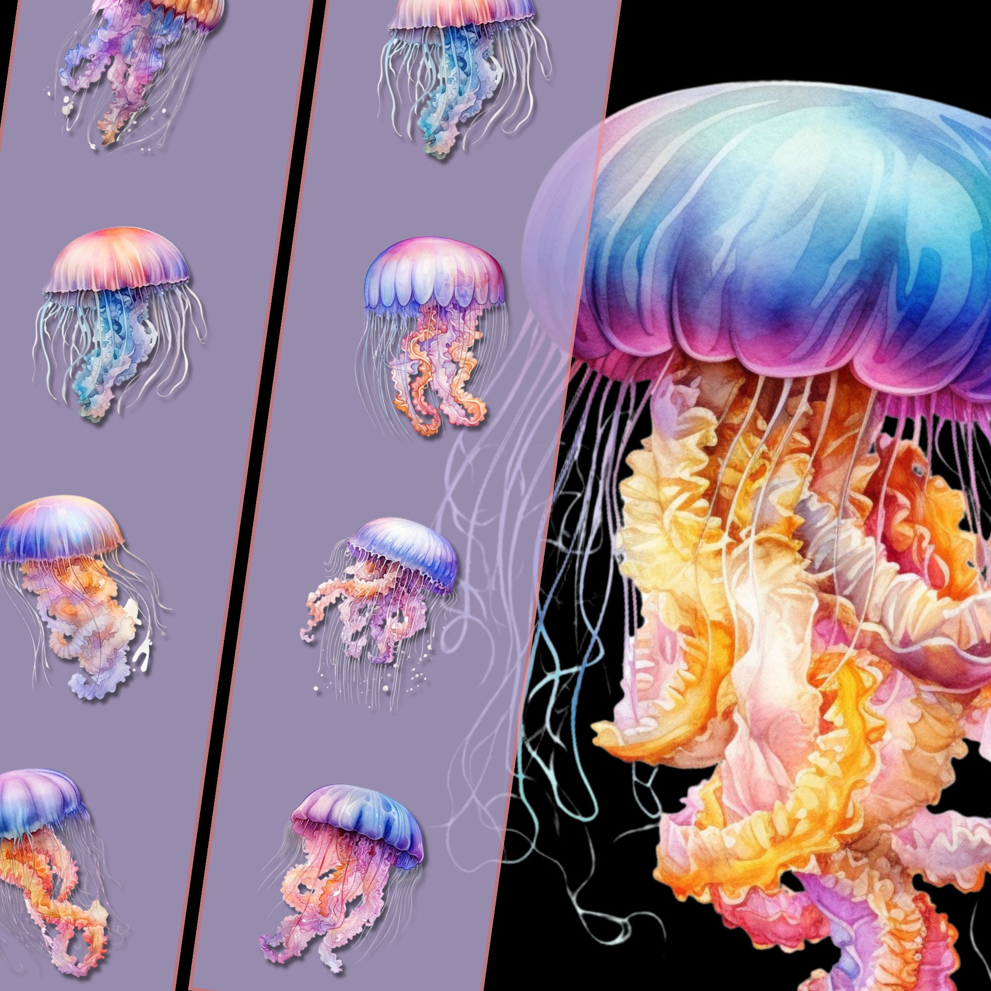 Jellyfish Clipart Bundle Underwater Beauties Illustrations, PNG Files ...