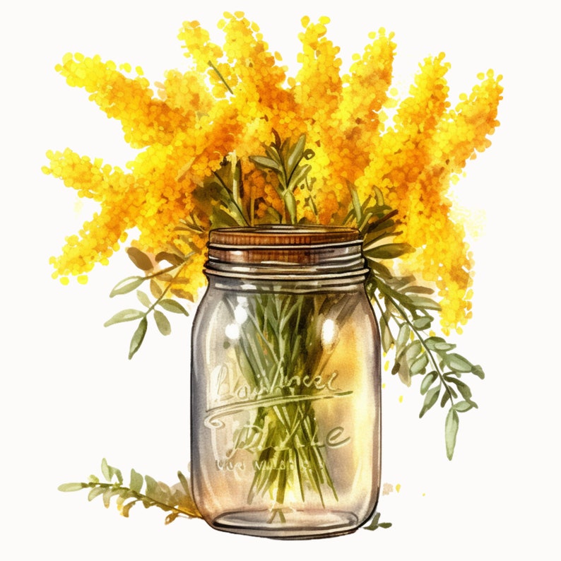 Goldenrod Clipart Bundle High-resolution PNG Files Instant - Etsy