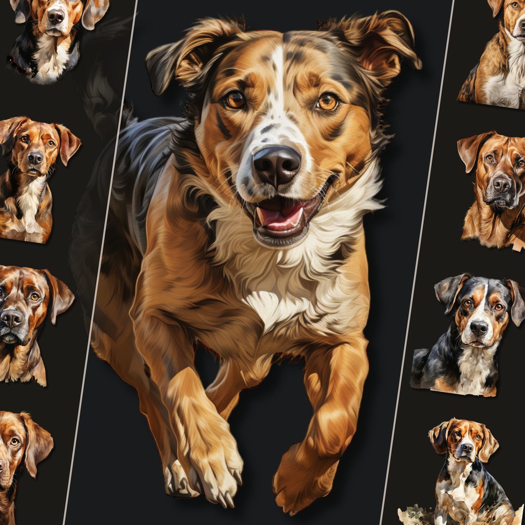 Plot Hound Clipart Bundle - Majestic Hound Illustrations, High ...