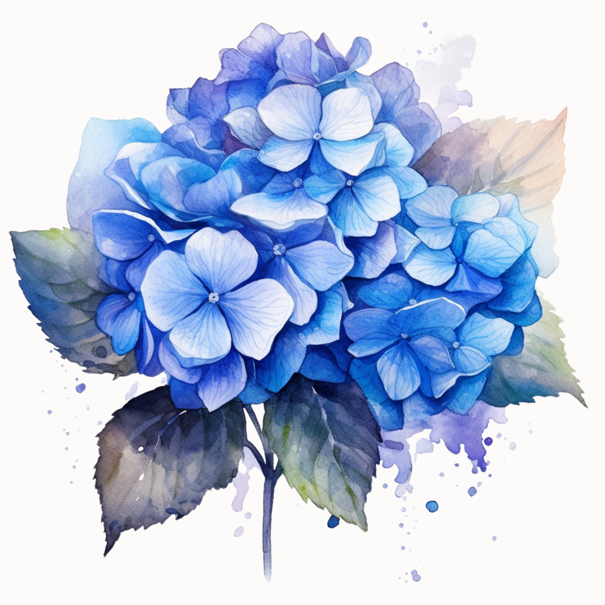 Blue Hydrangea Clipart Bundle High-resolution PNG Files - Etsy