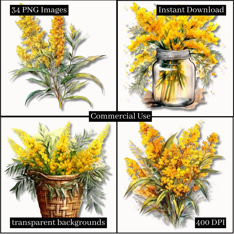 Goldenrod Clipart Bundle High-resolution PNG Files Instant - Etsy
