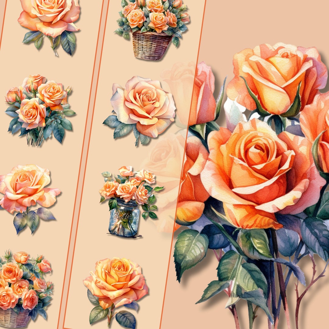 Peach Rose Clipart Bundle - High-resolution PNG Files, Instant Download ...