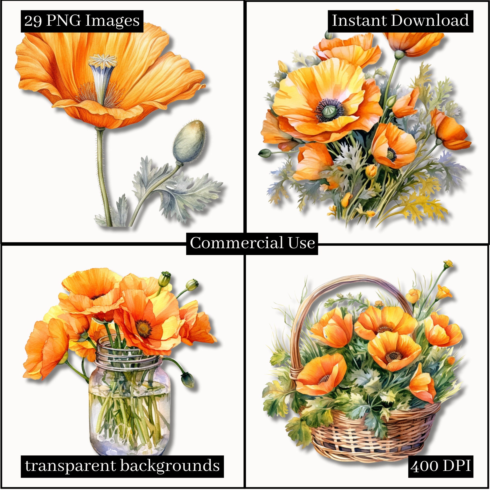 California Poppy Clipart Bundle High-resolution PNG Files - Etsy