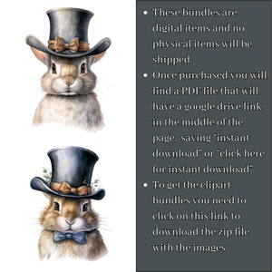 Dapper Bunny Clipart Bundle, PNG Format, Artistic Creations, Junk ...