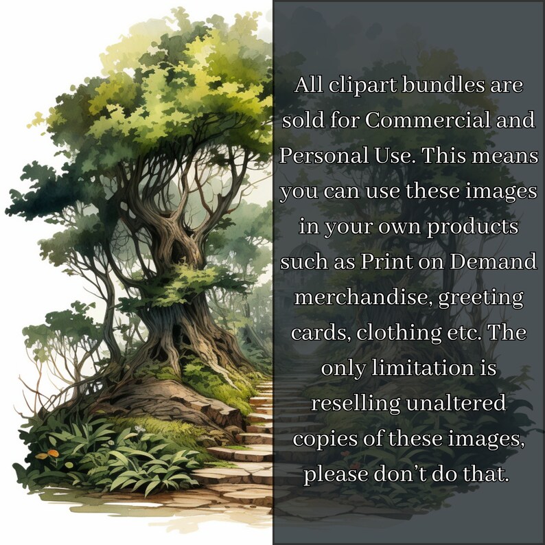 Enchanted Forest Pathway Clipart Bundle, PNG, for Digital Art, Junk ...