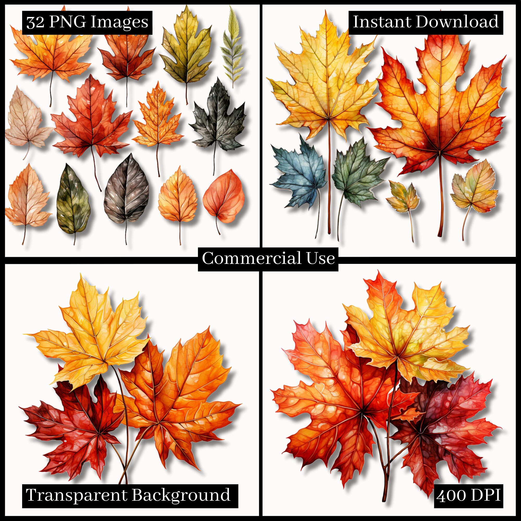 Autumn Leaves Clipart Bundle PNG Format for Personal & - Etsy