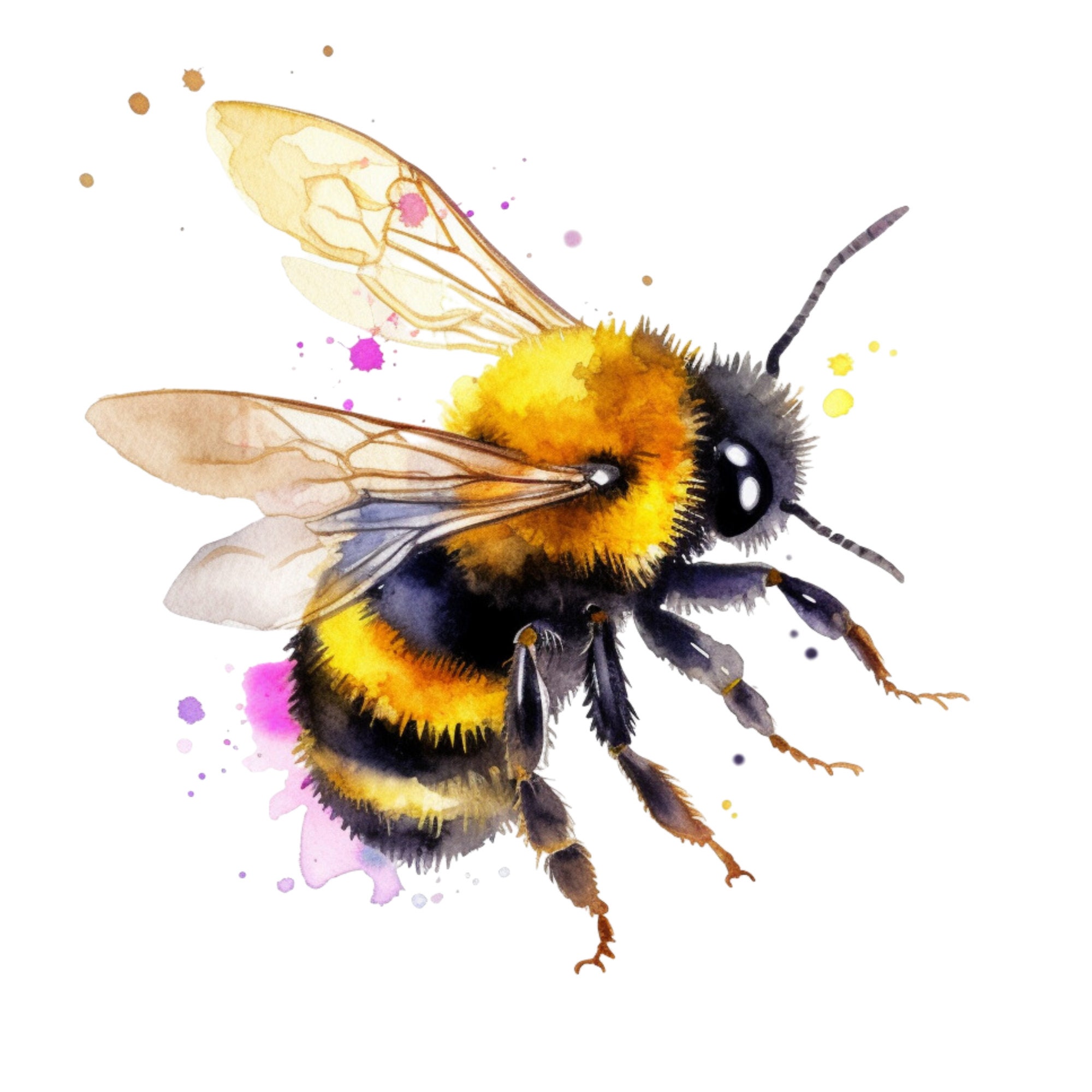 Bumblebee Clipart Busy Bees Watercolor Collection Adorable - Etsy