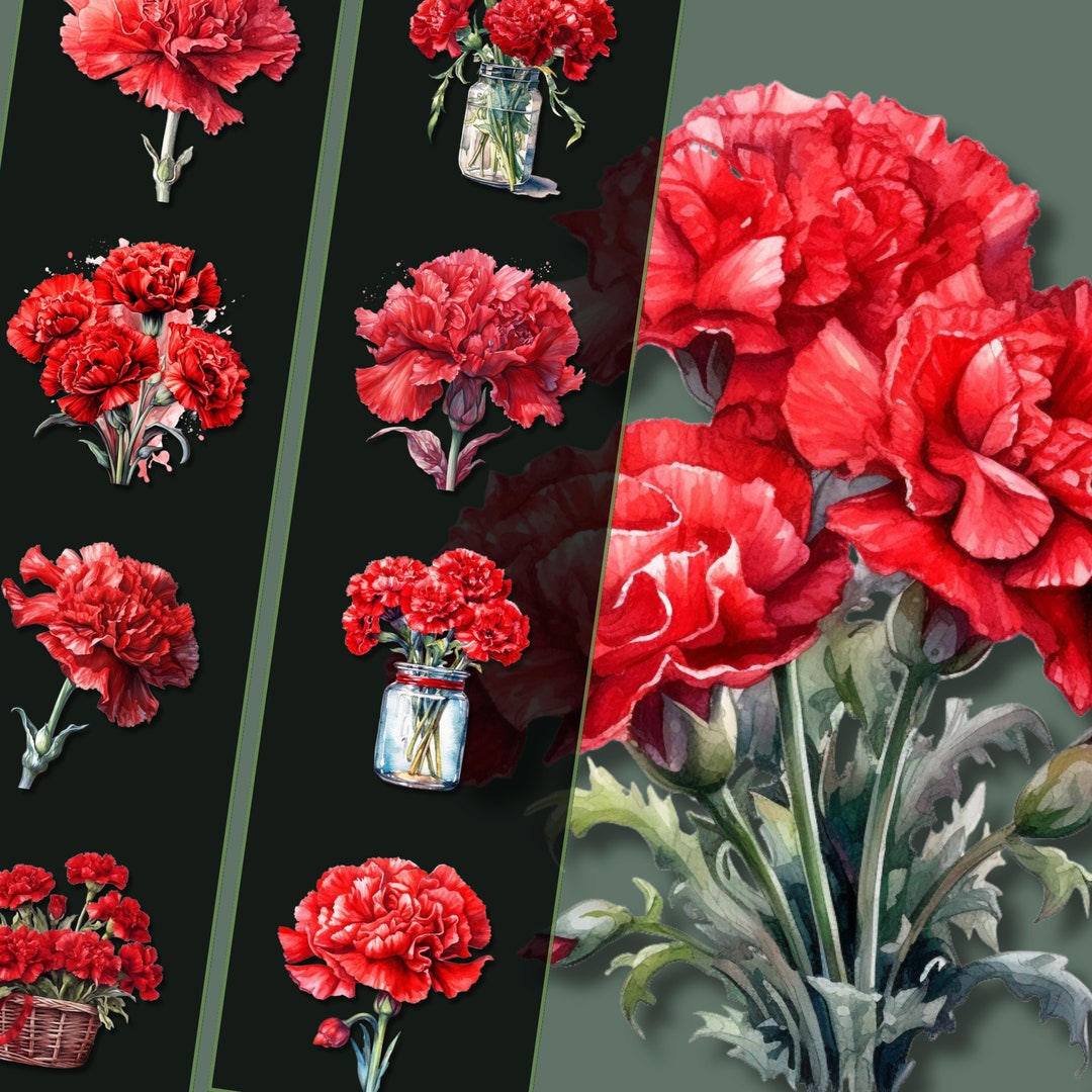 Scarlet Carnation Clipart Bundle PNG Files, Instant Download, Perfect ...