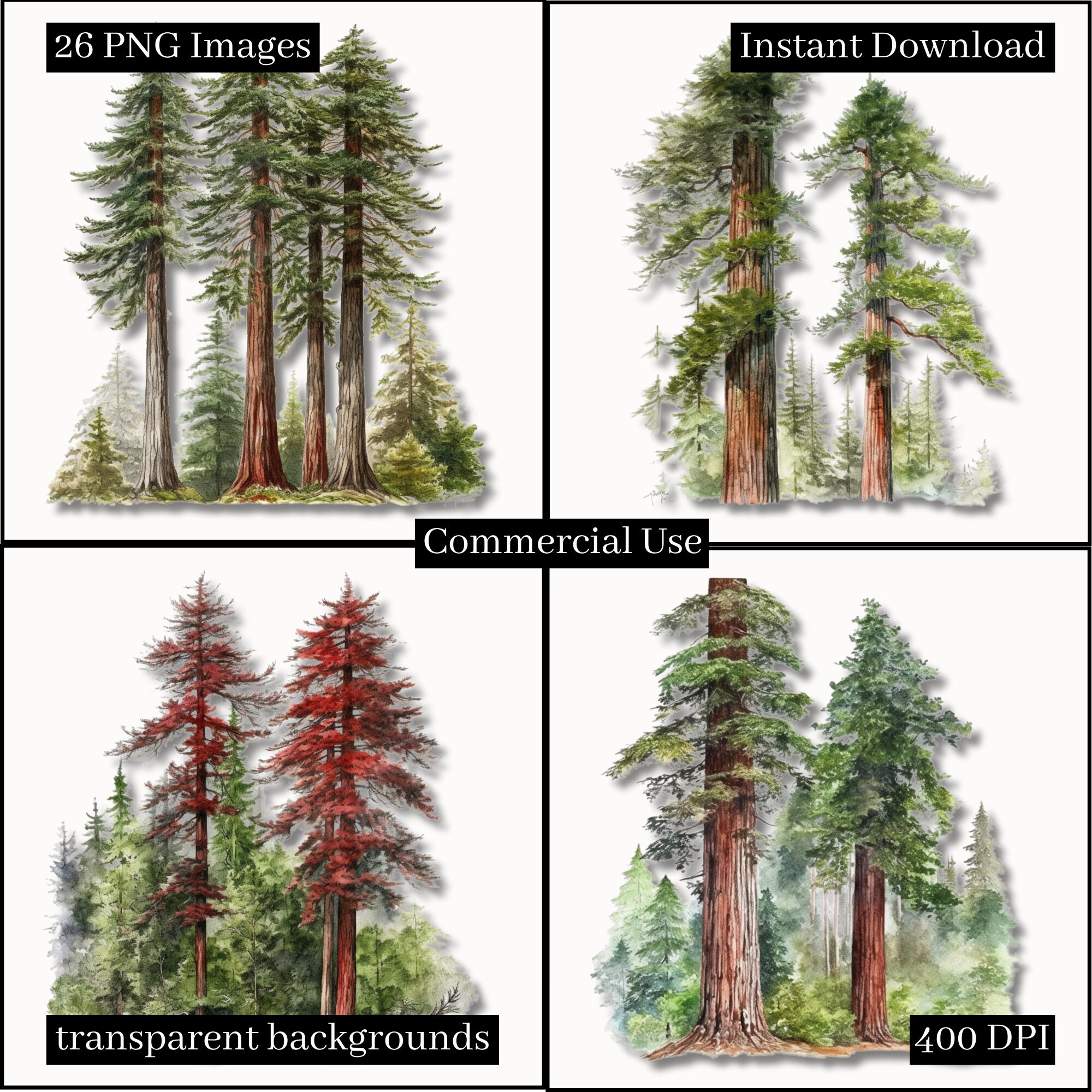 Redwood Tree Clipart Collection PNG Graphics Perfect for DIY - Etsy