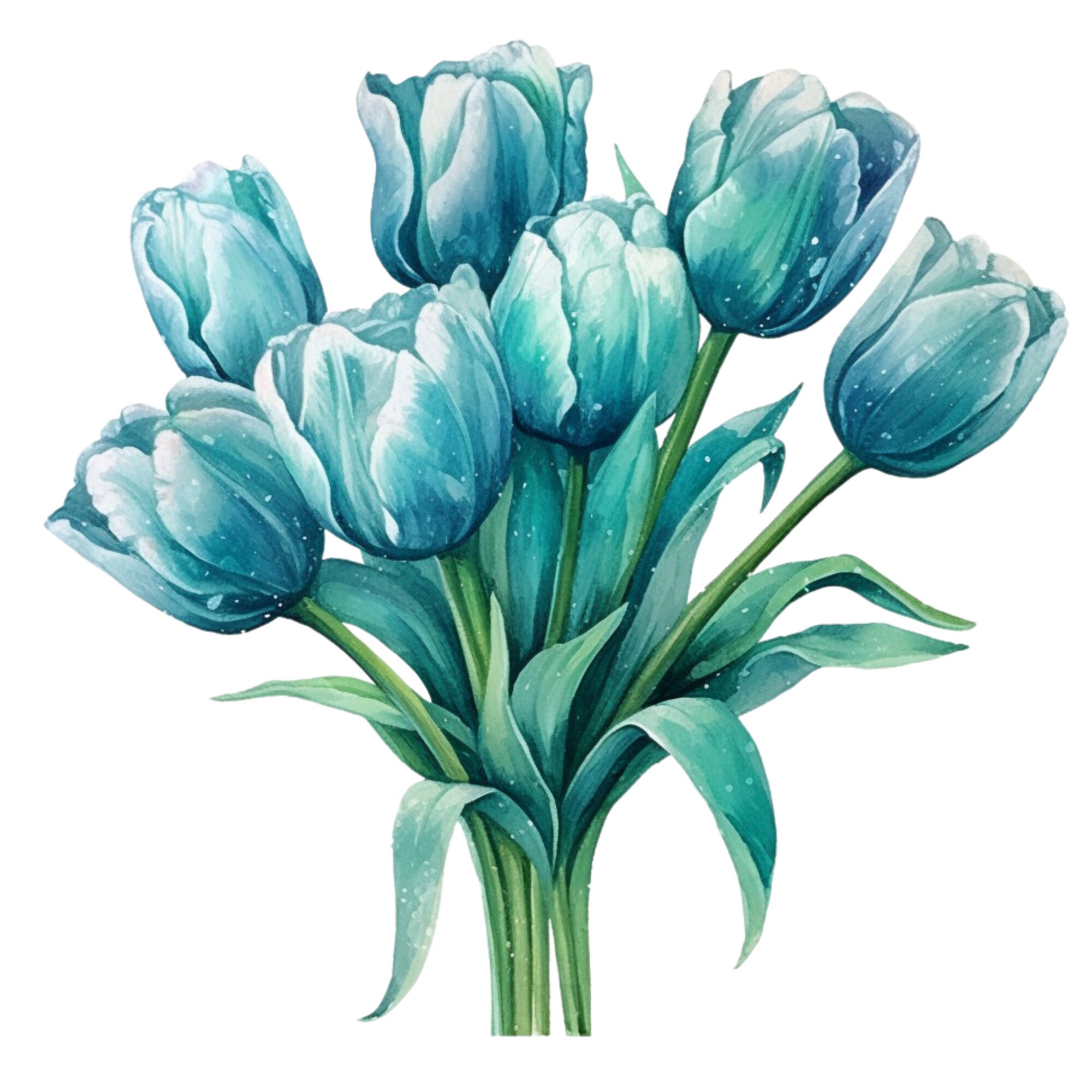 Teal Tulip Clipart Bundle High-quality PNG Files Instant - Etsy