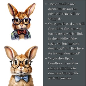 Scholarly Rabbit Clipart Bundle, PNG Format, Artistic Creations, Junk ...