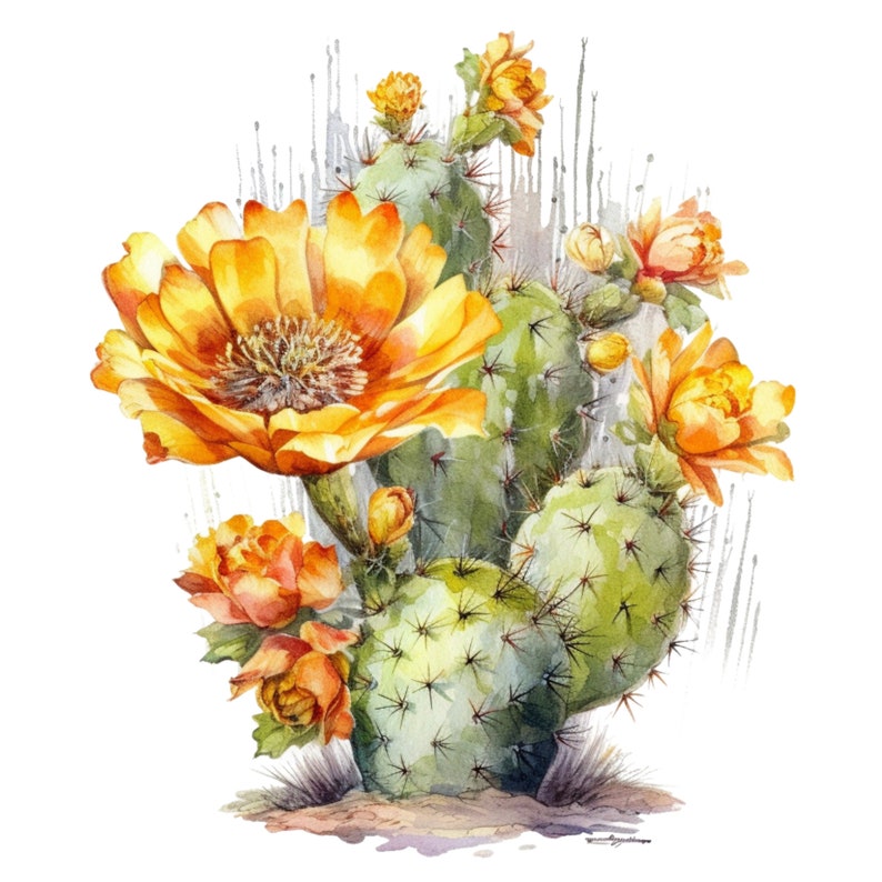 Saguaro Cactus Blossom Clipart Bundle PNG Files, Instant Download ...