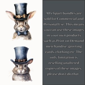 Dapper Bunny Clipart Bundle, PNG Format, Artistic Creations, Junk ...