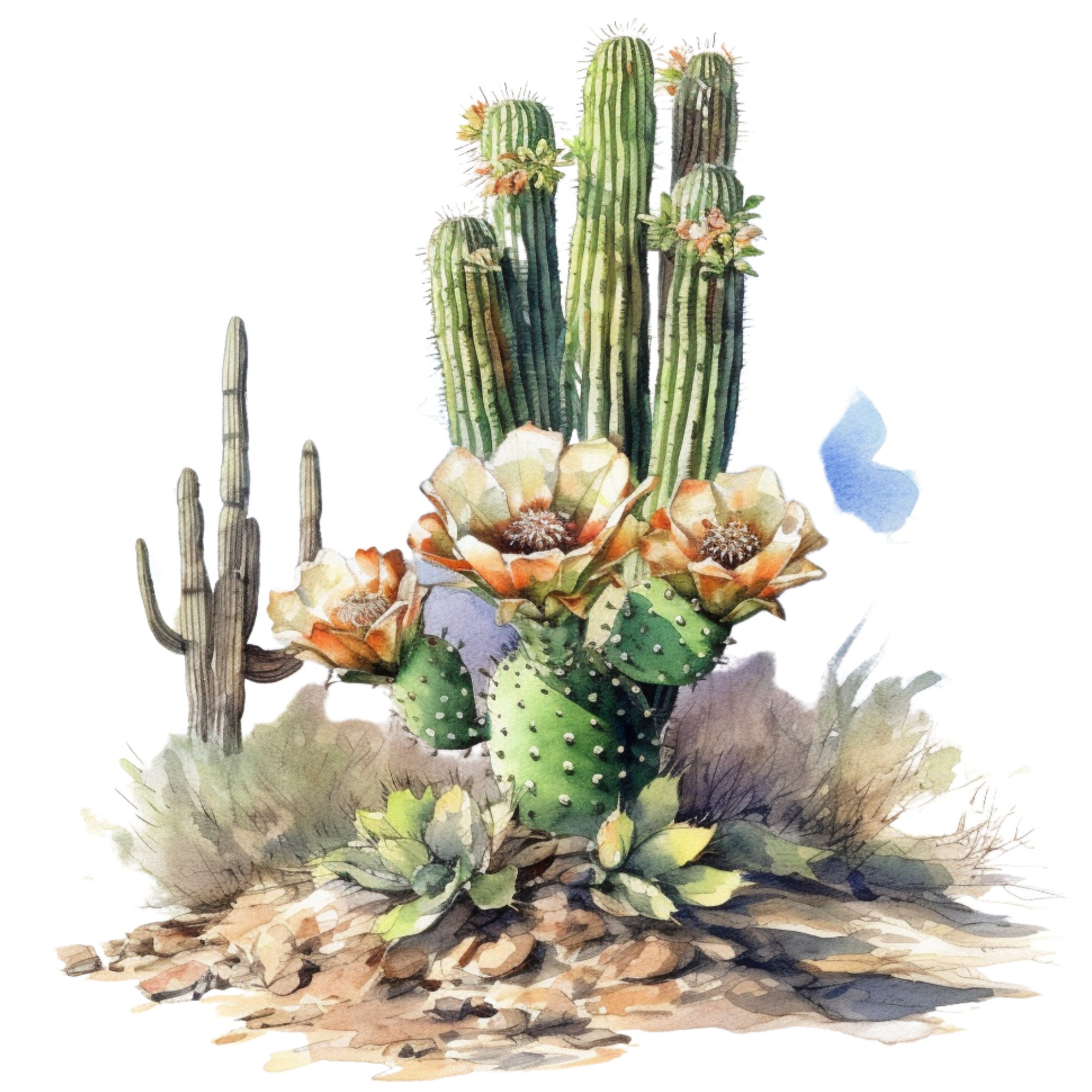 Saguaro Cactus Blossom Clipart Bundle PNG Files, Instant Download ...