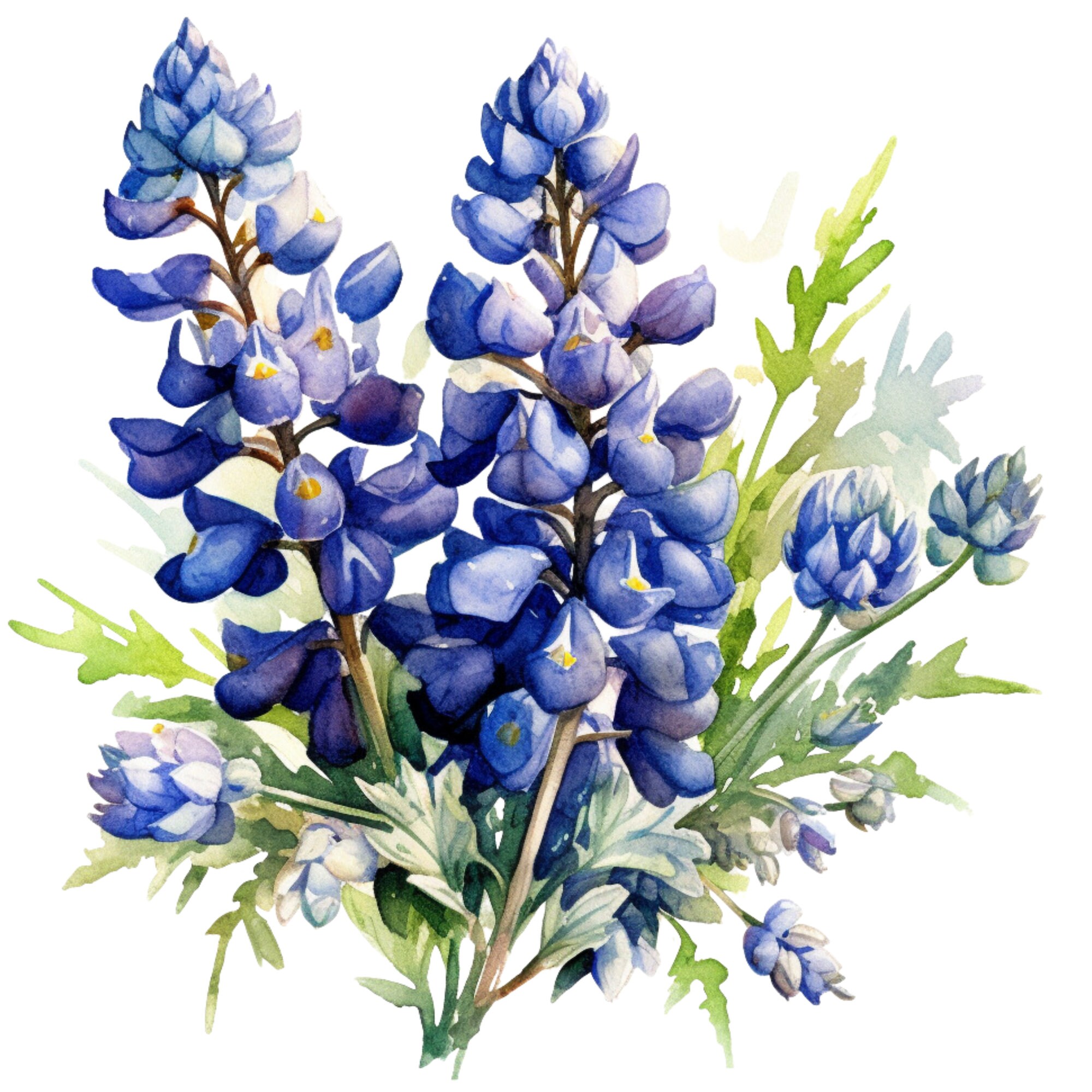 Bluebonnet Clipart Bundle High-resolution PNG Files, Instant Download ...