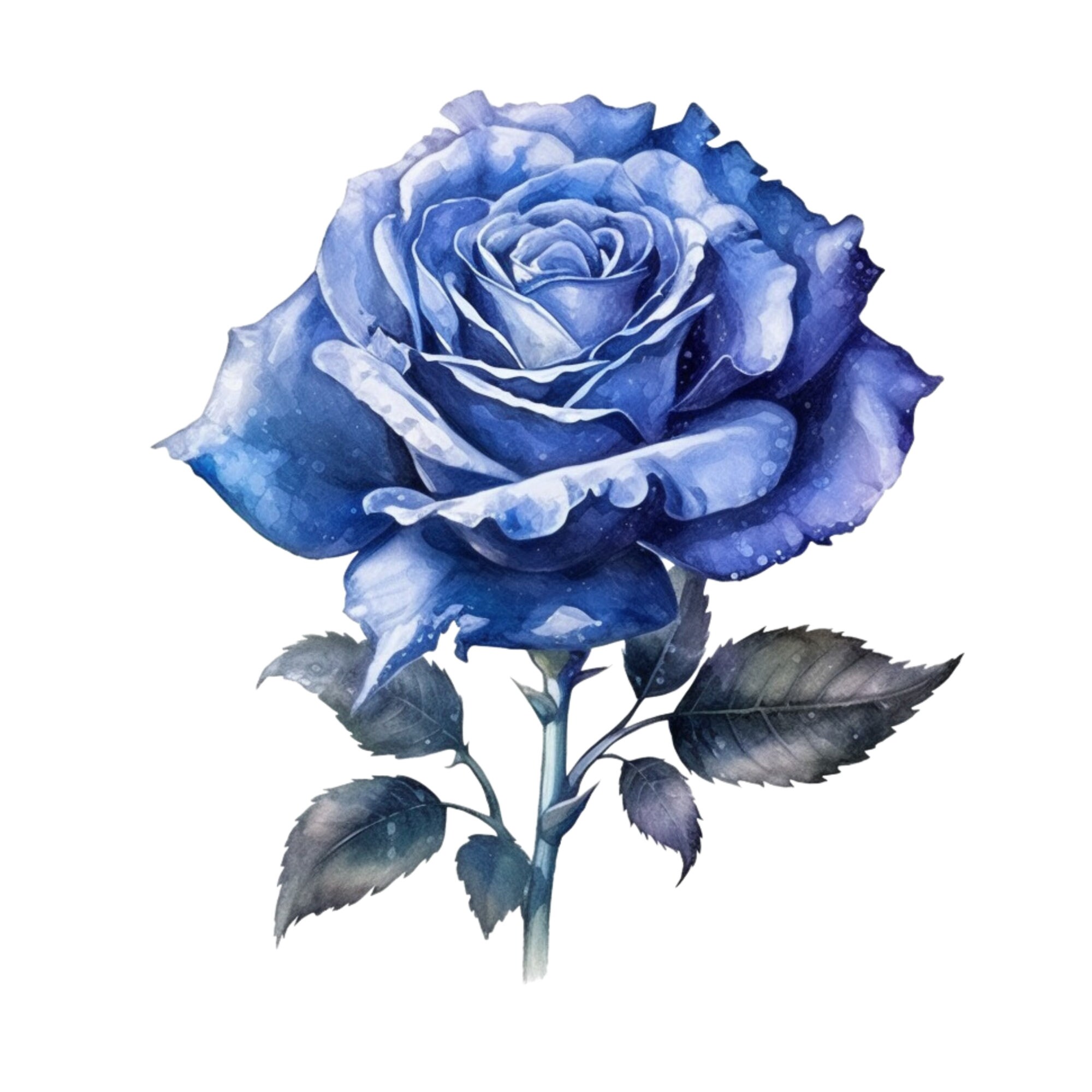 Blue Rose Clipart Bundle High-resolution PNG Files Instant - Etsy