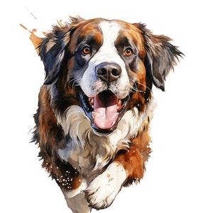 St. Bernard Clipart Bundle - Adorable Dog Illustrations, High ...