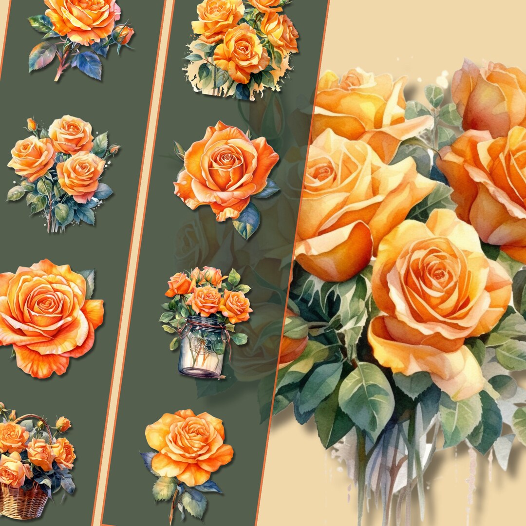 Orange Rose Clipart Bundle - High-resolution PNG Files, Instant ...