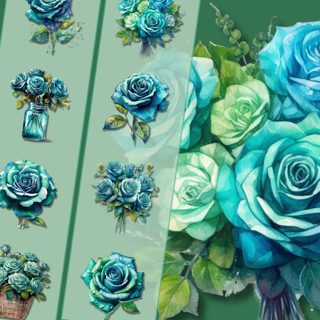 Teal Rose Clipart Bundle PNG Files, Transparent Backgrounds, Instant ...