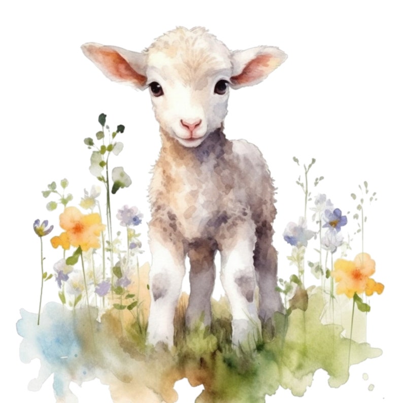 Lamb Clipart Collection PNG Lamb Clipart Instant Download - Etsy