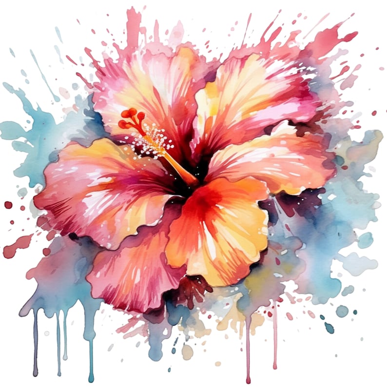 Hibiscus Clipart Bundle Tropical Flower Illustrations, High-resolution ...