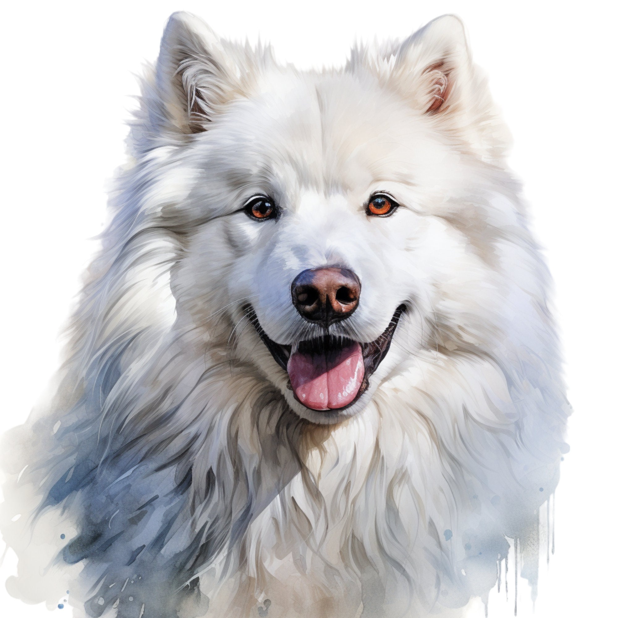 Samoyed Clipart Bundle Adorable Arctic Dog Illustrations - Etsy