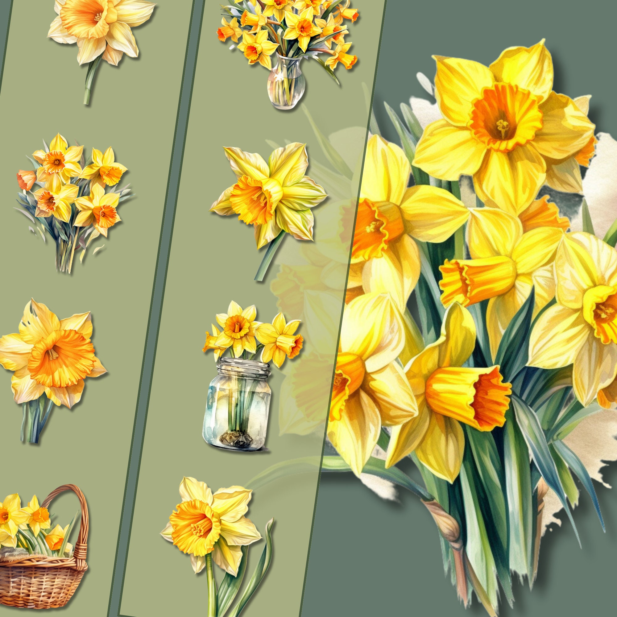 Yellow Daffodil Clipart Bundle High-quality PNG Files Instant - Etsy