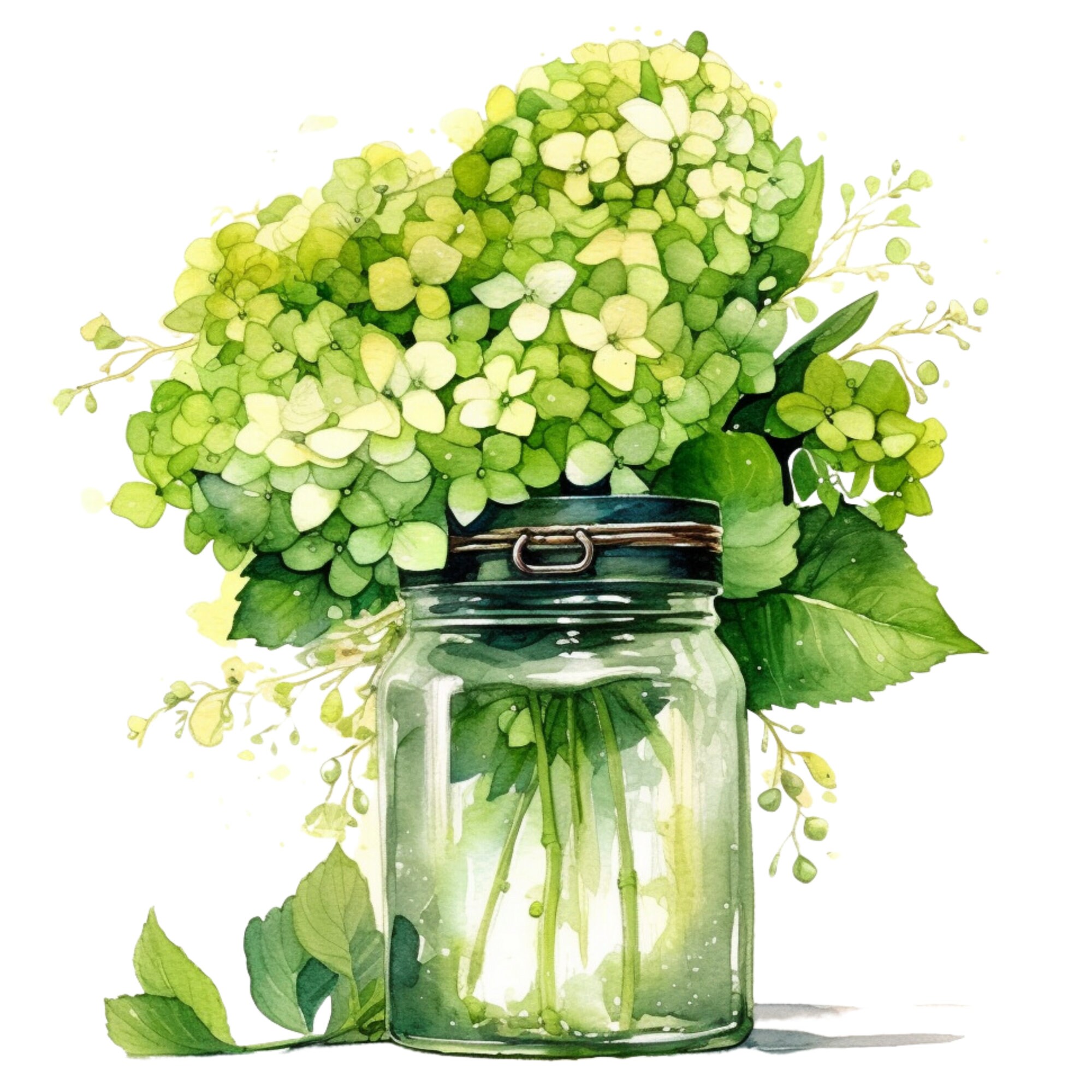 Green Hydrangea Clipart Bundle High-resolution PNG Files - Etsy